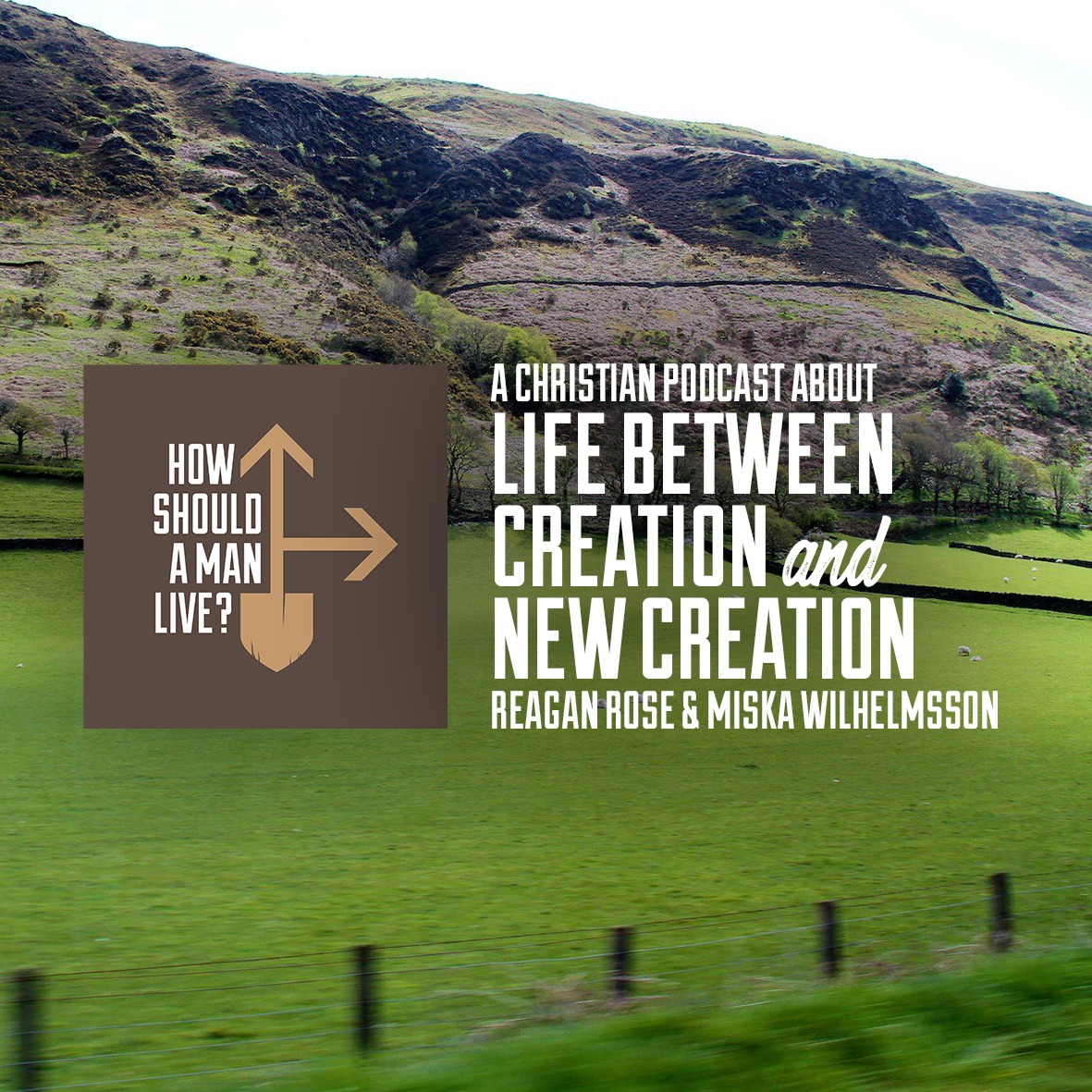 Creation Mandate & the Meaning of Life | How Should a Man Live? Podcast